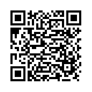 Flash: Canciller iraní transmitirá en Islamabad las consideraciones de ...